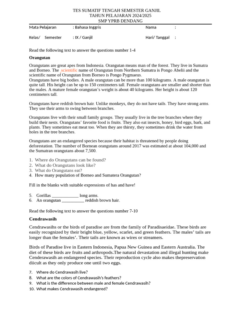 Semester Test: English for Grade IX | PDF | Orangutan | Zoology