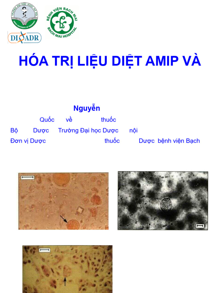 HÓA TRỊ LIỆU amip 2021 2022 | PDF