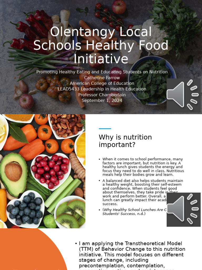 LEAD5433 Healthy Food Initiative | PDF | Healthy Diet | School Meal