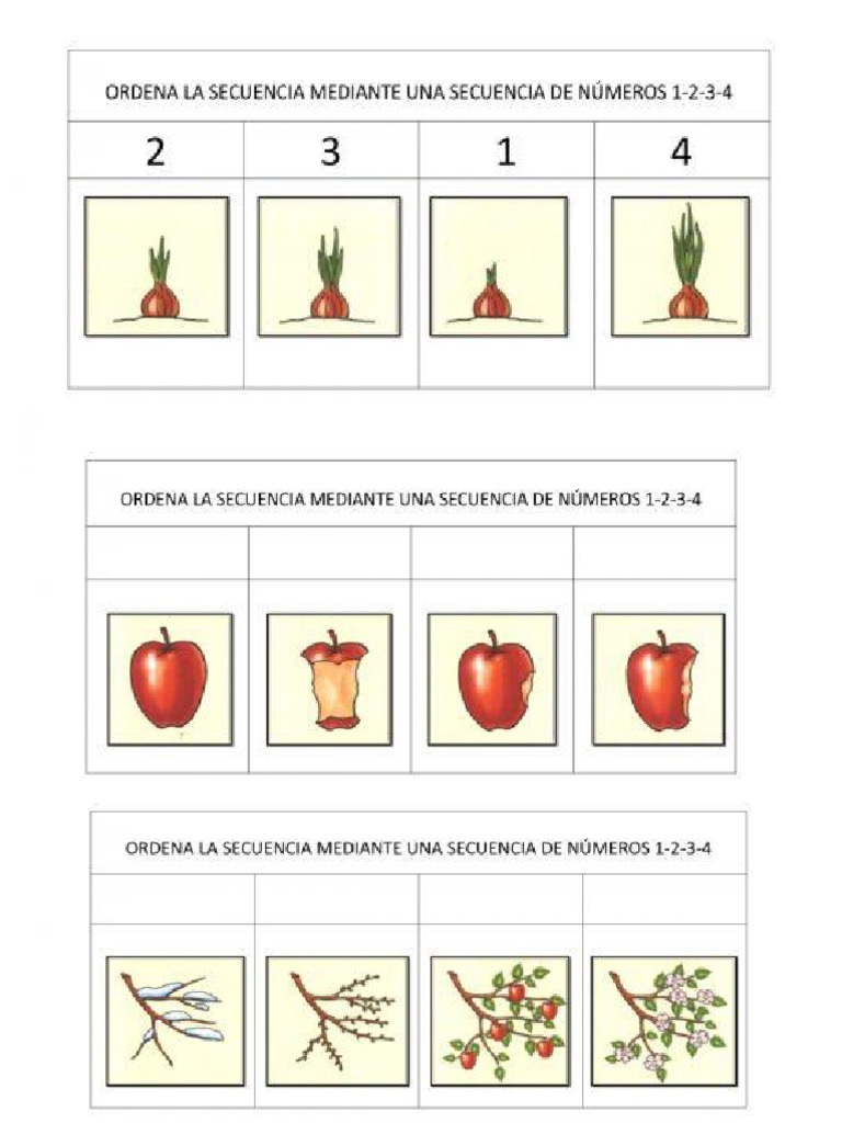 Secuencia de Imagenes | PDF