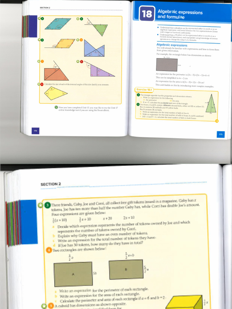 Y8 Chapter 18 - Algebraic Expressions and Formulae | PDF