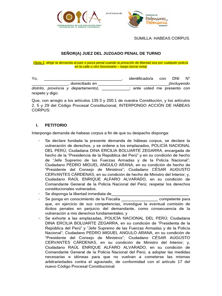 Modelo Habeas Corpus Peru - PDDD | PDF | Habeas corpus | Juez