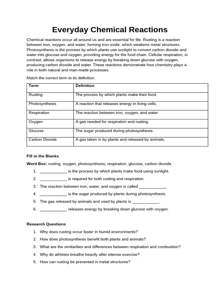 Everyday Chemical Reactions Explained | PDF