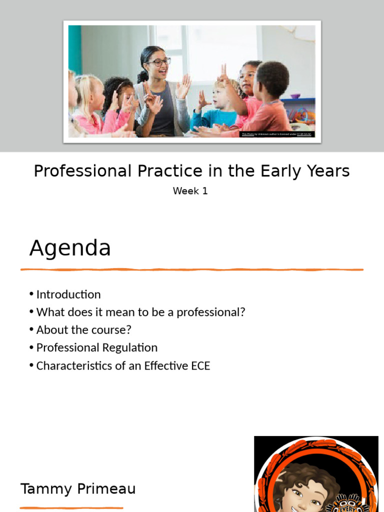Early Years Professional Practice Overview | PDF | Early Childhood ...