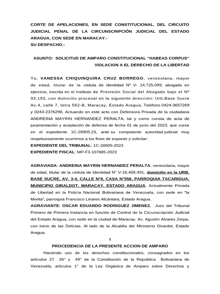 AMPARO CONSTITUCIONAL HABEAS CORPUS ANDREINA HERNANDEZ | PDF | Derecho ...