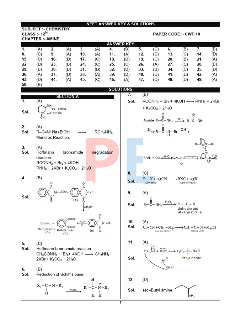 10-AMINE-SOLUTION | PDF | Amine | Organic Chemistry