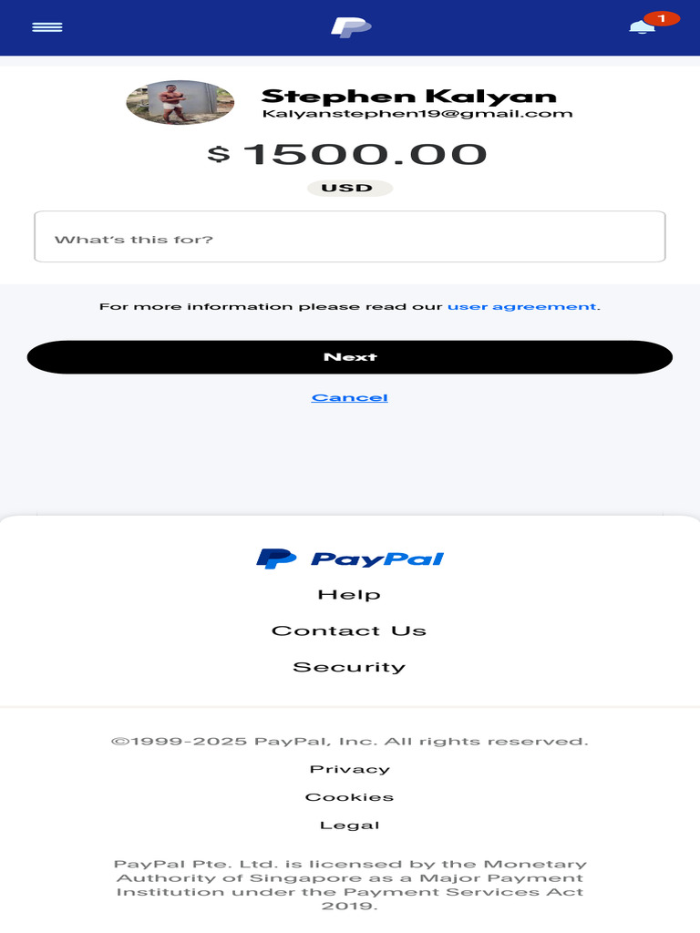 PayPal Make A Payment Preview 35 | PDF