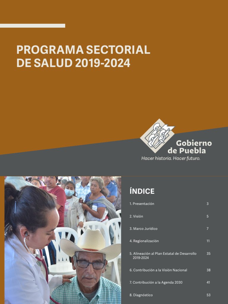 Programa Sectorial de Salud 19-24 | PDF | Constitución | Estado (política)