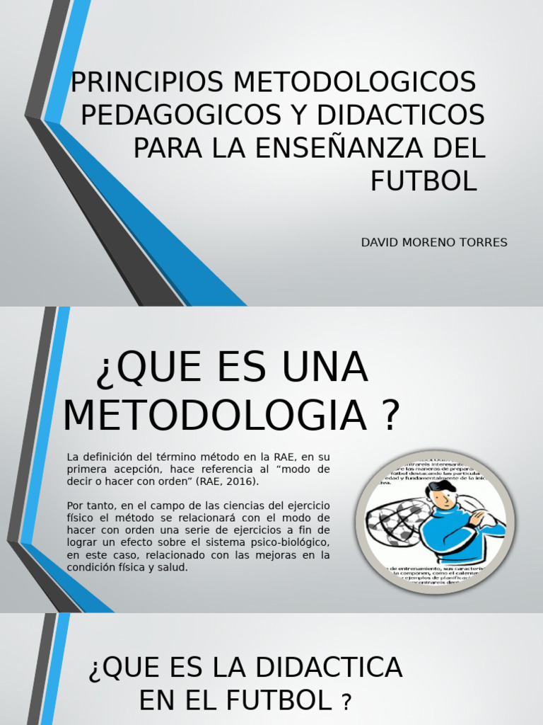 Principios Metodologicos y Pedagogicos y Didacticos para La | PDF | Enseñando | Aprendizaje
