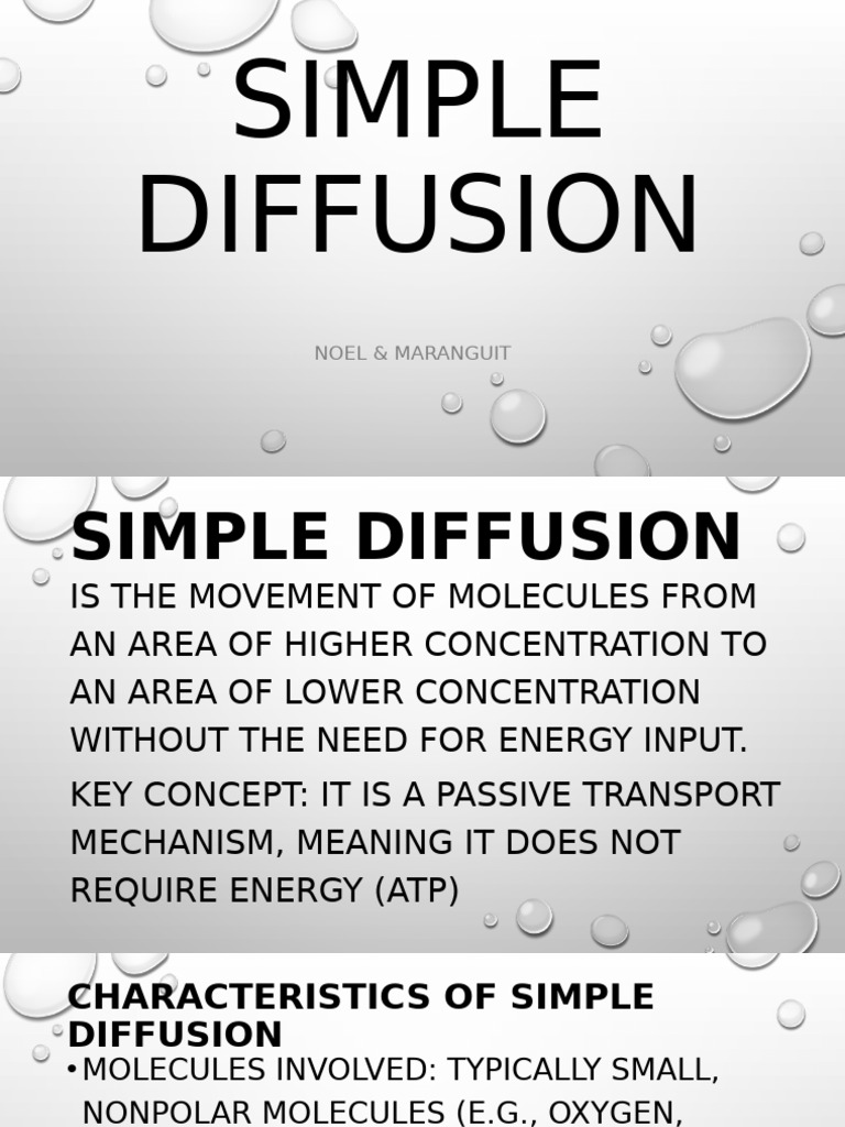 Understanding Simple Diffusion Basics | PDF