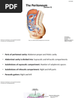 Special Regions of Peritoneal Cavity | PDF | Peritoneum | Liver