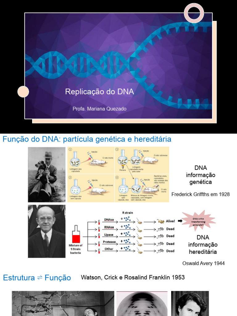 Aula - 004-Replicação Do DNA | PDF | Replicação de DNA | Primer ...