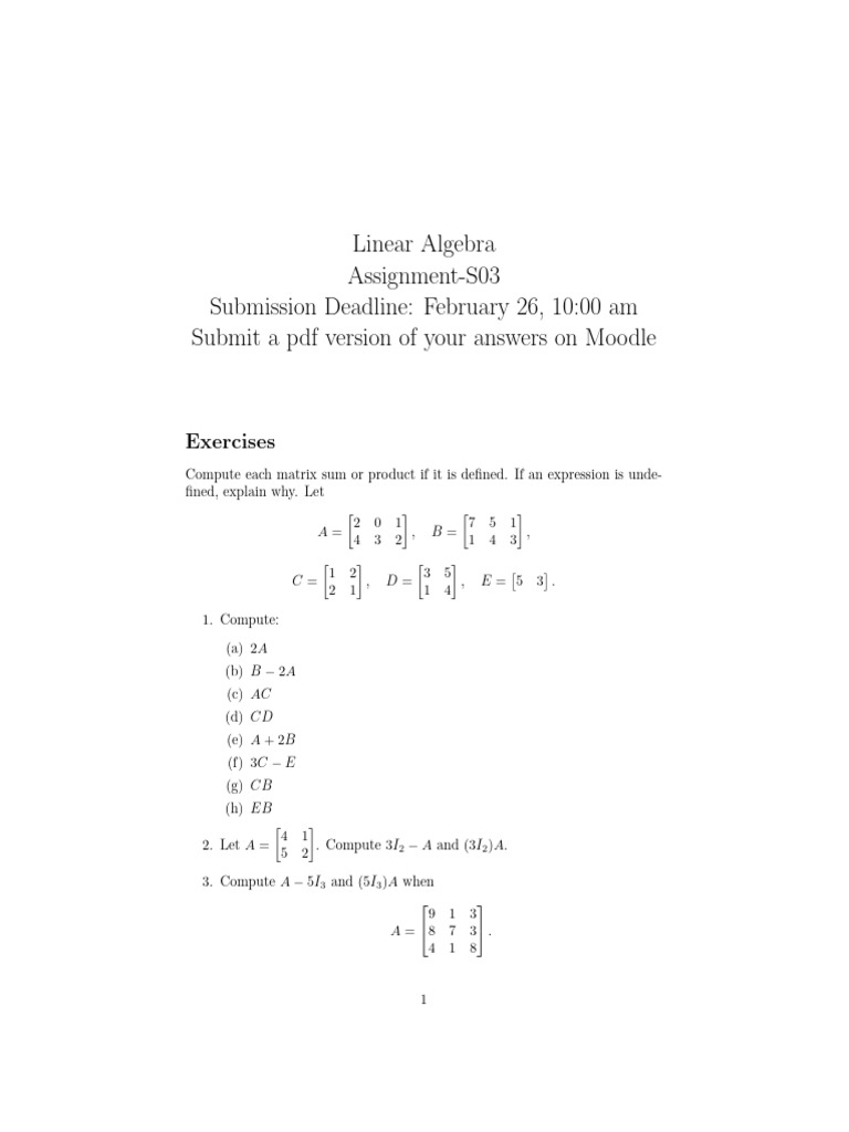 Linear Algebra Student Tasks | PDF | Matrix (Mathematics) | Linear Algebra