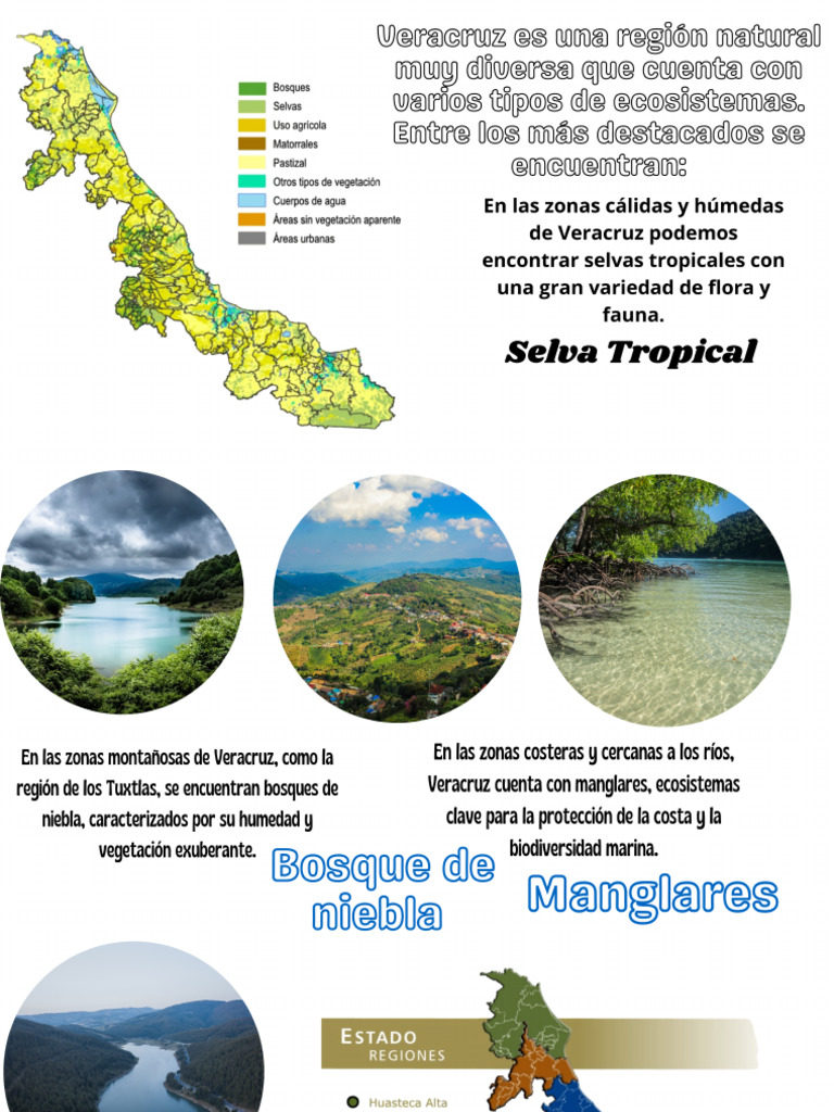 Bodies of Water Lesson Presentation Blue .PDF | PDF