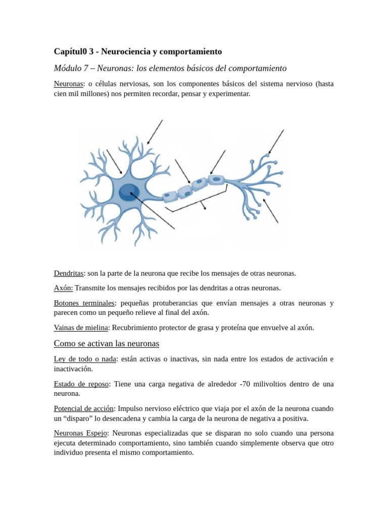 Capítulo 3 - Neurociencia y Comportamiento | PDF | Cerebro | Neurona