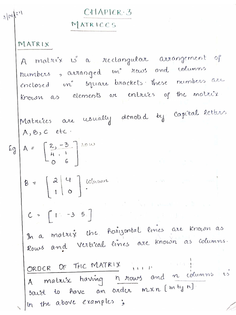 c1 Matrix Determinants | PDF