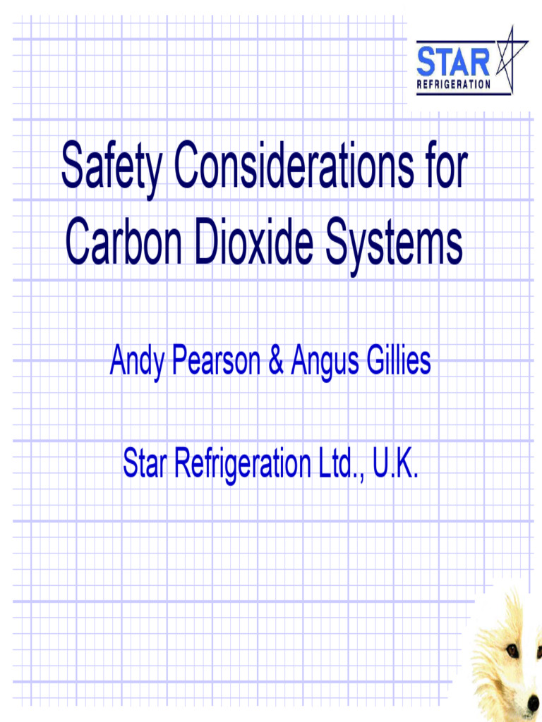 002_Safety Considerations for Carbon Dioxide Systems | PDF | Carbon Dioxide | Breathing