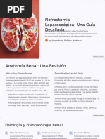 Suboclusion Intestinal | PDF | Enfermedades digestivas | Gastroenterología