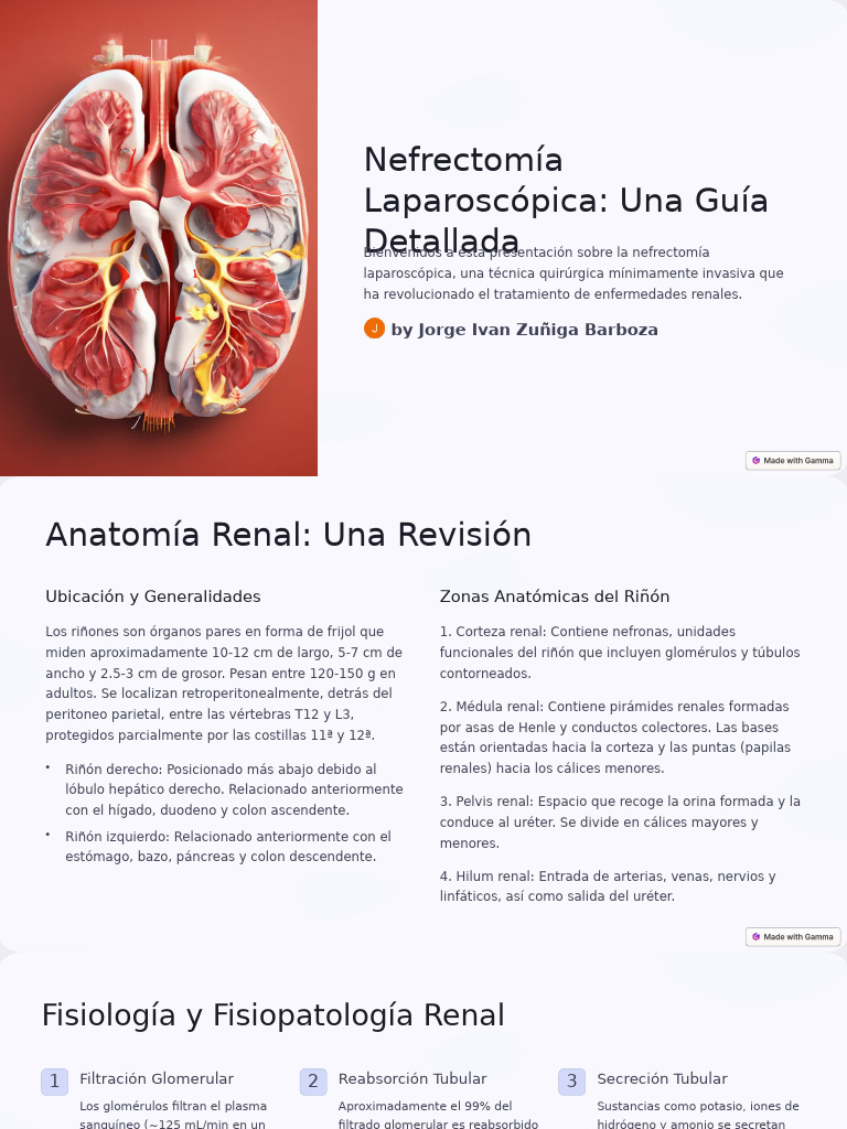 Nefrectomia Laparoscopica Una Guia Detallada | PDF | Riñón ...