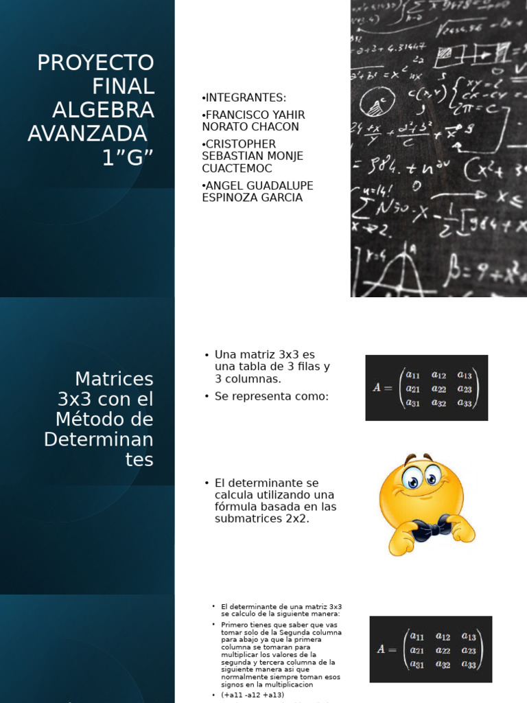 Proyecto Final Algebra Avanzada 1 | PDF | Ecuación cuadrática ...
