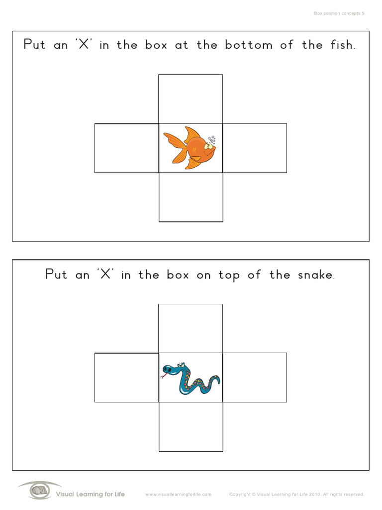 Box Position Concepts 5 | PDF