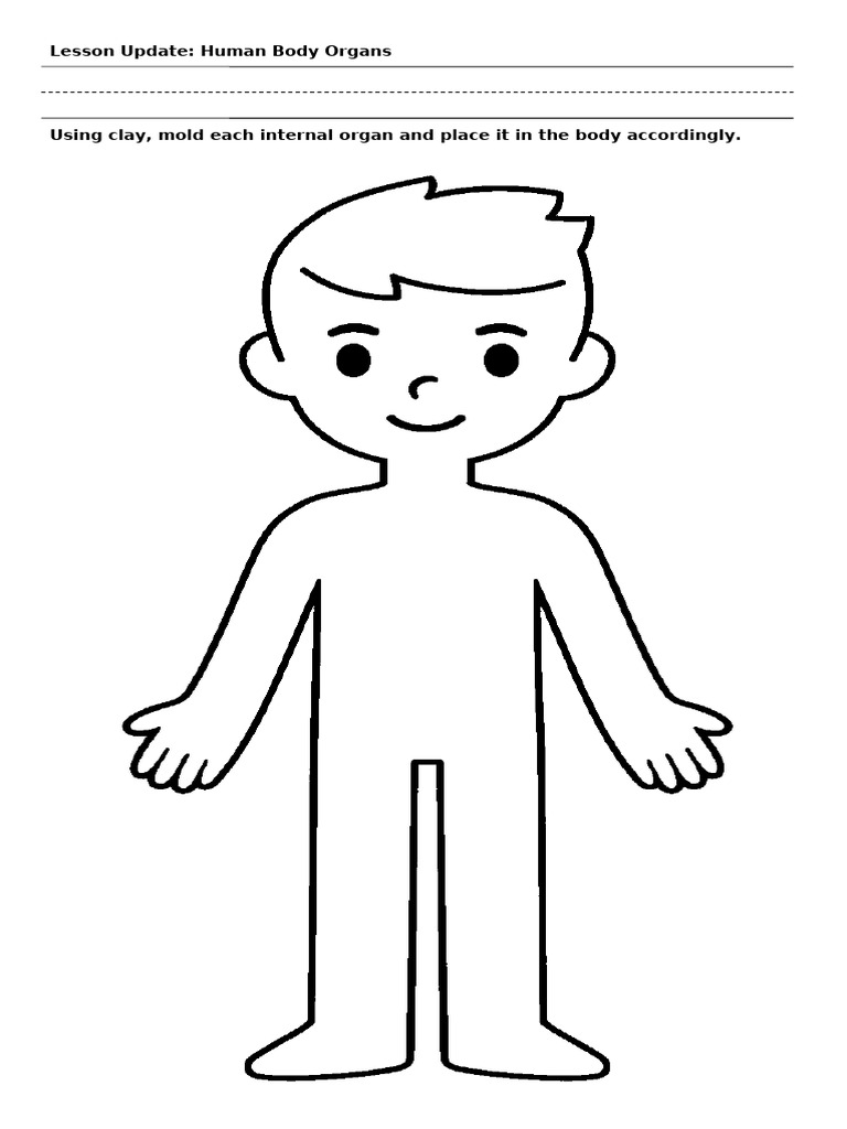 Human-Body-Organs | PDF