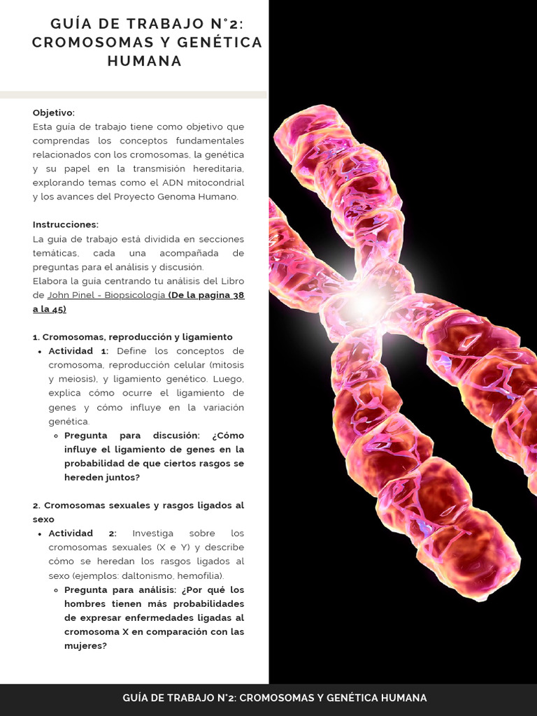 Guía de Trabajo N°2 Cromosomas y Genética Humana - Psicobiología | PDF | Cromosoma | Gene