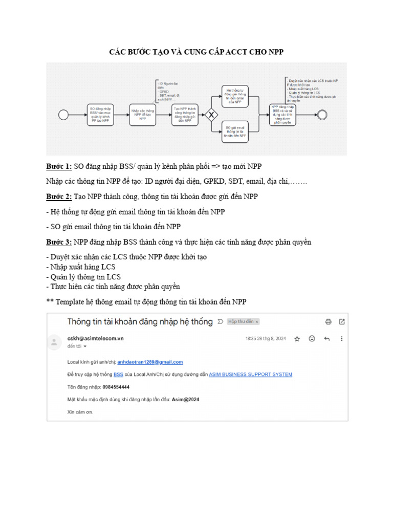 CÁC BƯỚC TẠO VÀ CUNG CẤP ACCT CHO NPP | PDF