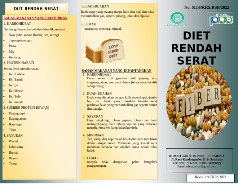 Diet Rendah Serat 1 | PDF