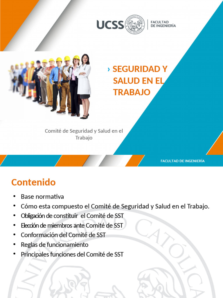 Tema 4 - COMITÉ SST | PDF | Gobierno