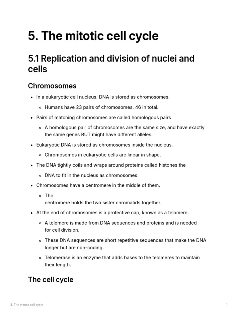 The Mitotic Cell Cycle | PDF | Mitosis | Chromosome