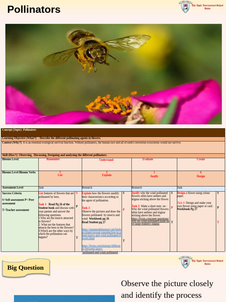Understanding Pollinators and Their Roles | PDF | Flowers | Pollination