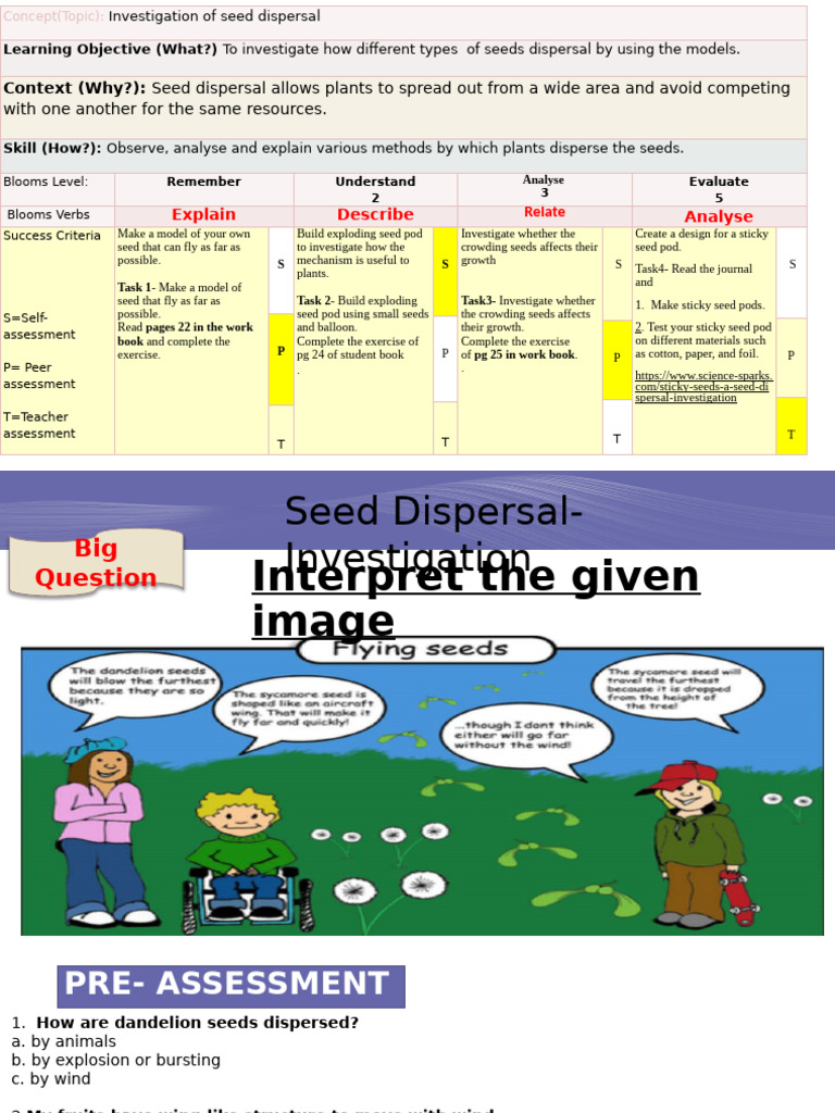 Seed Dispersal - Investigation - Student | PDF | Seed | Germination