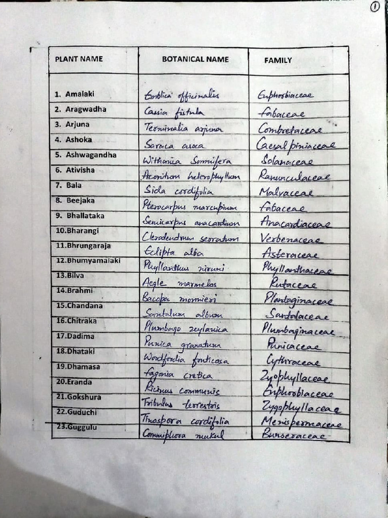 Botanical Names and Families List | PDF