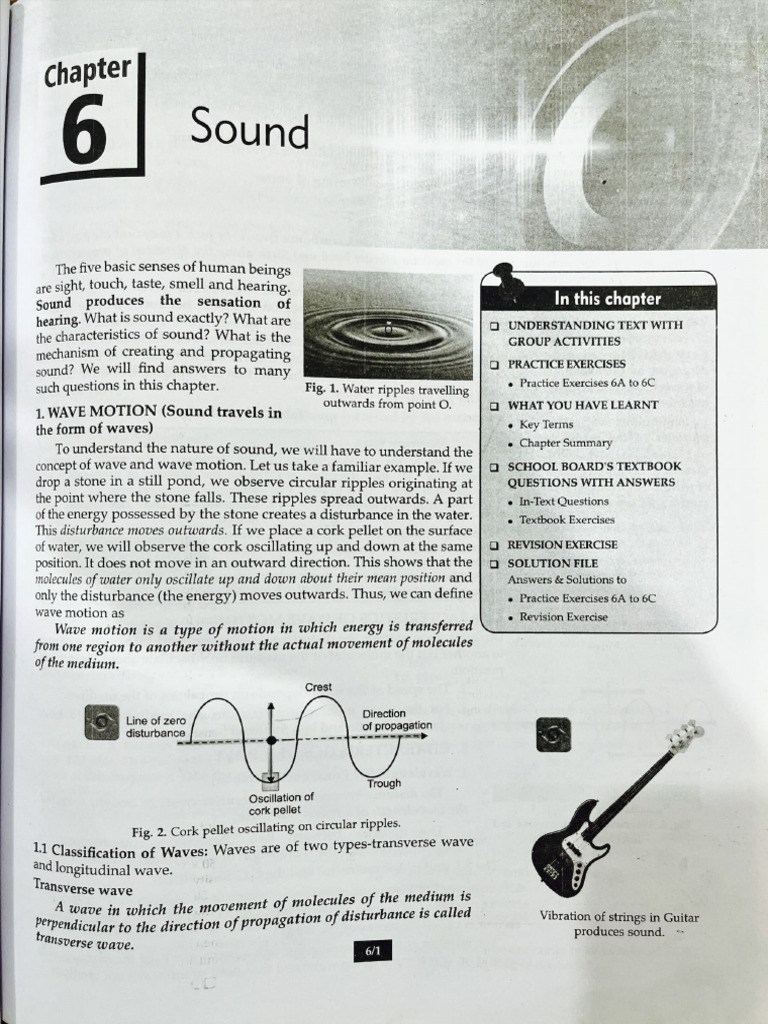 Sound Chapter Notes | PDF