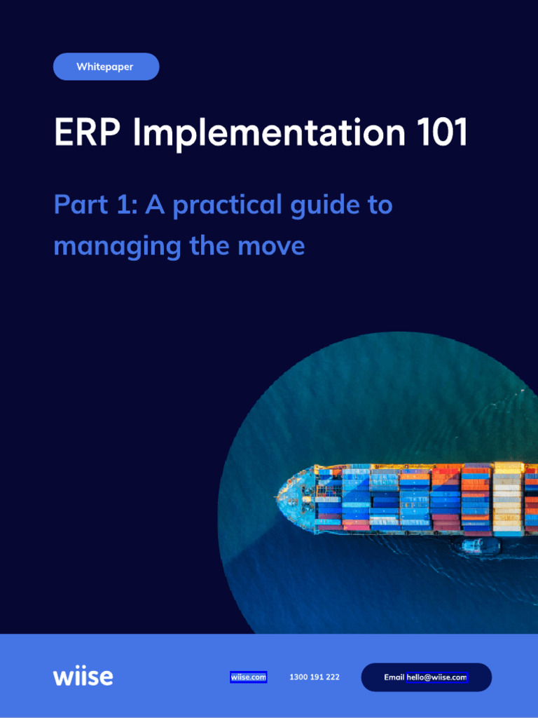 ERP Implementation Best Practices Guide | PDF | Enterprise Resource ...
