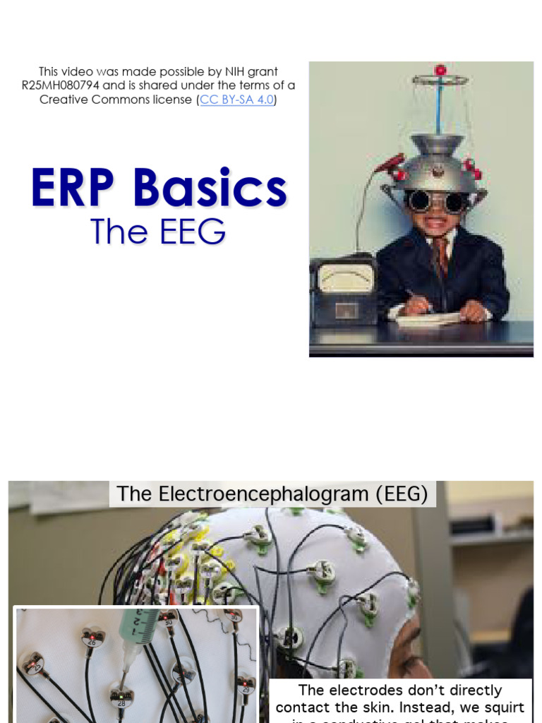 Understanding EEG and ERP Basics | PDF | Event Related Potential ...