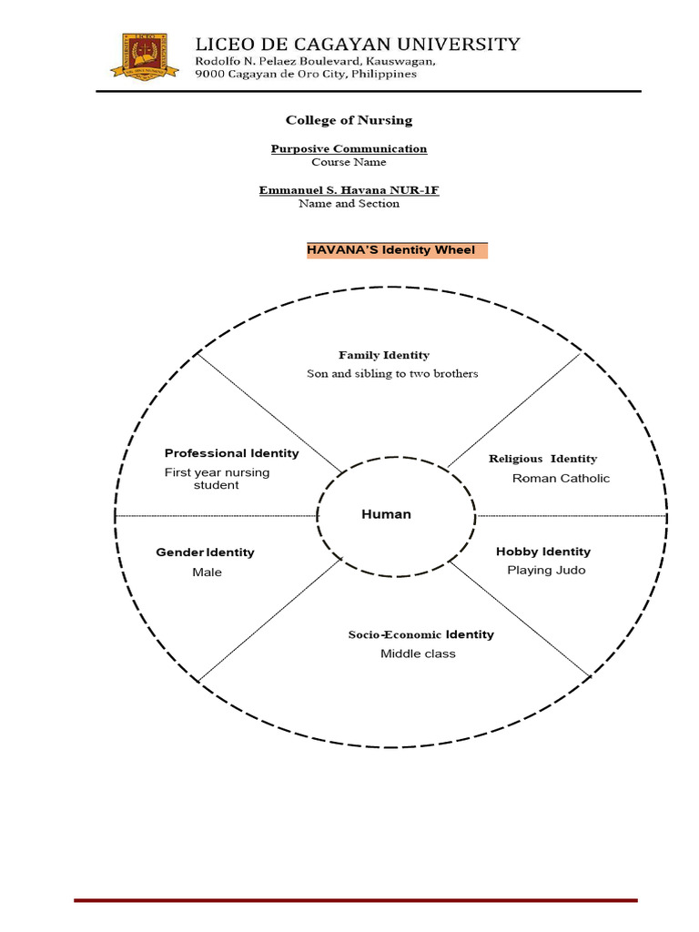 Understanding My Identity Wheel | PDF | Identity (Social Science) | Nursing