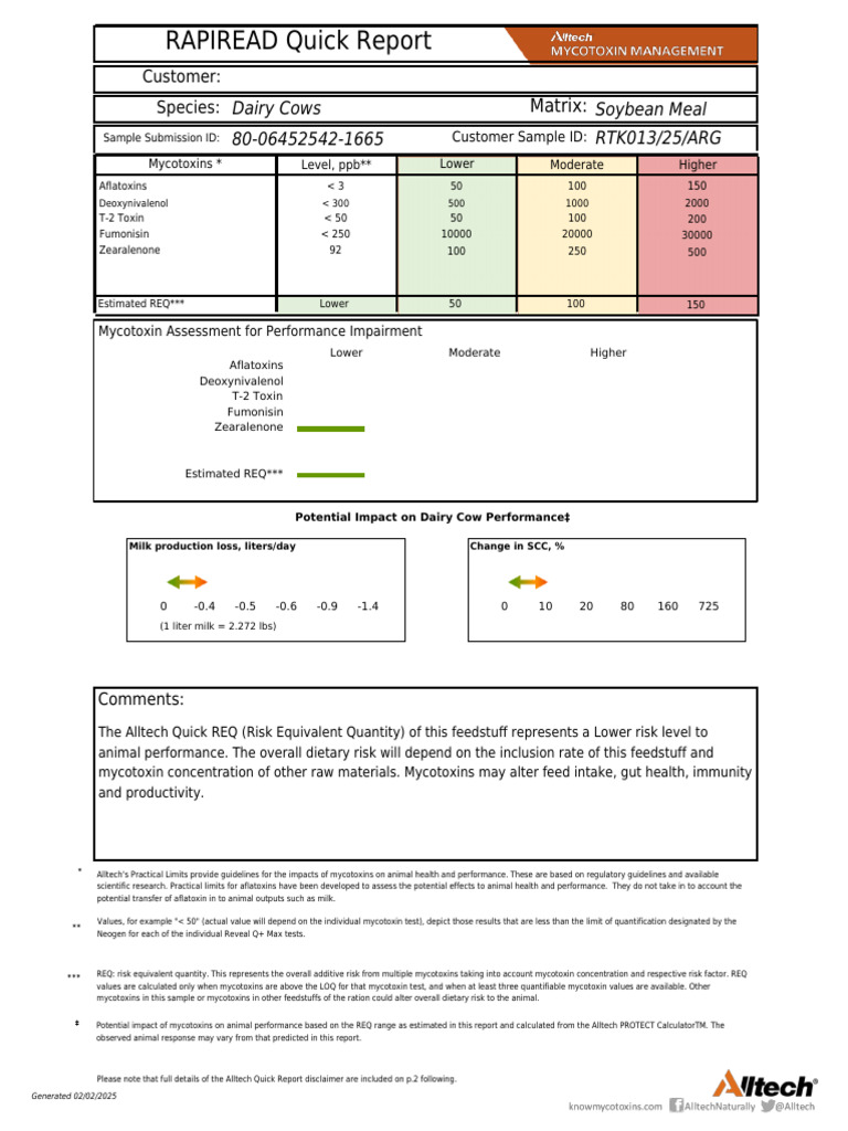 QuickReport 20250202201618 | PDF