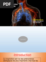 Structure des branchies des poissons | PDF | Branchie | Système ...