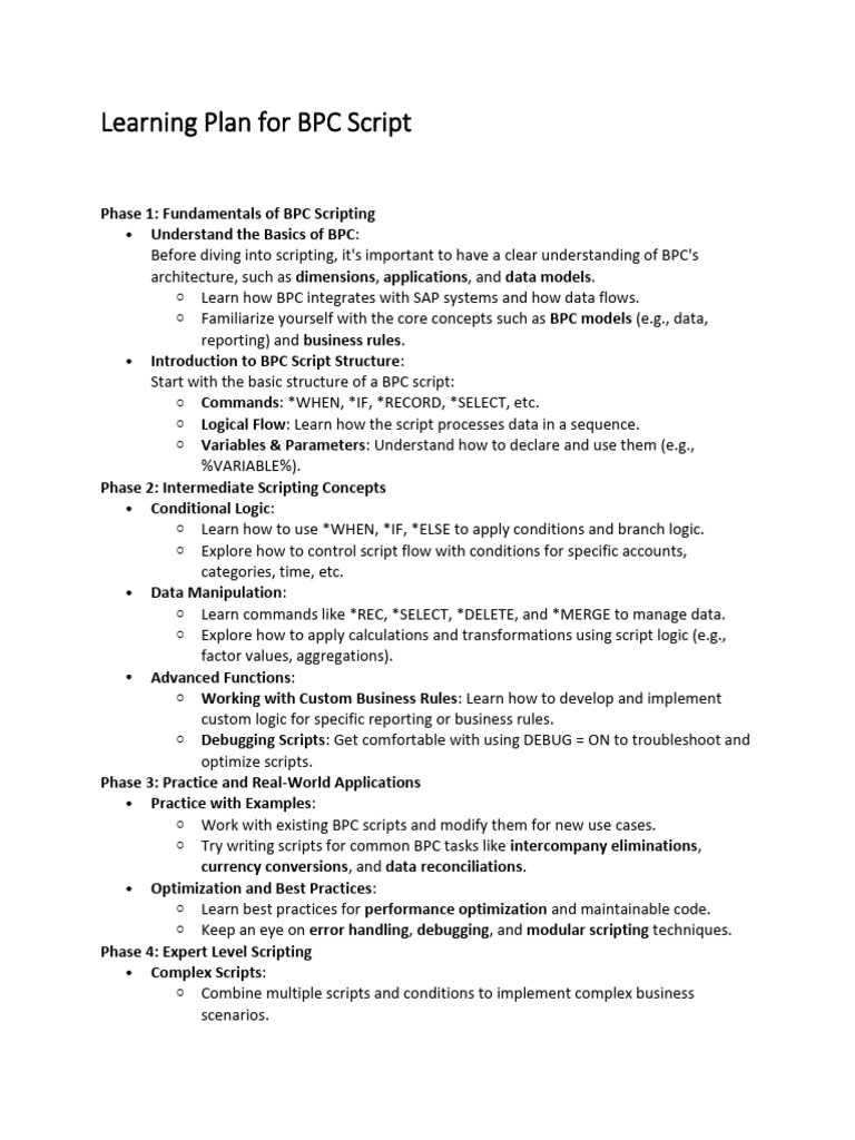 Learning Plan for BPC Script | PDF | Logic | Debugging