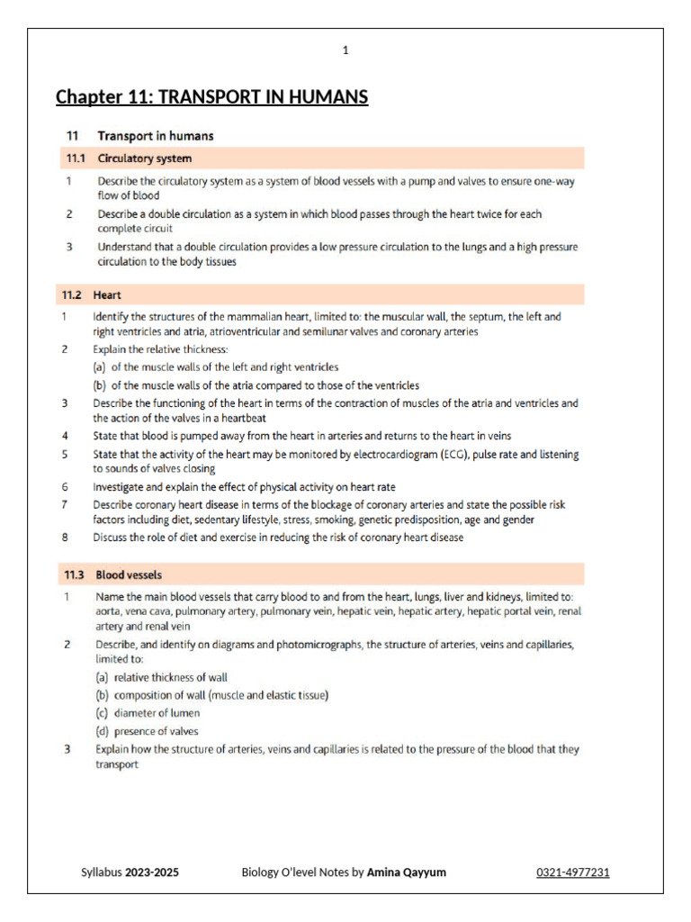 Human Transport Biology Notes | PDF