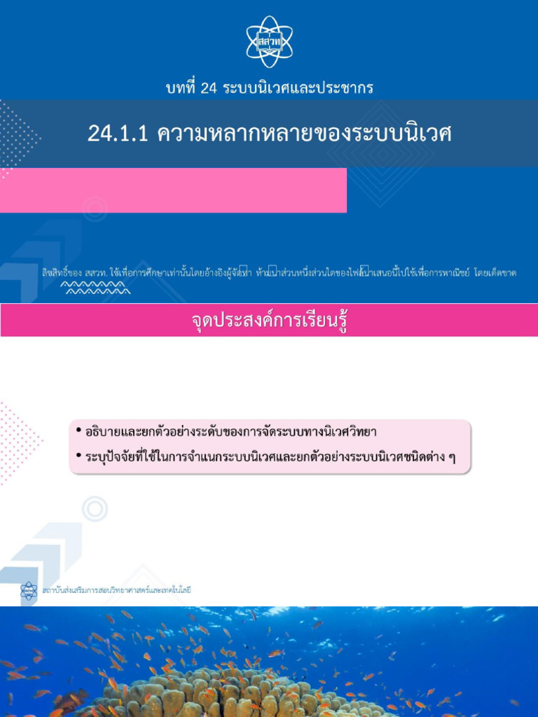 m6b6 24 1ecosystem 018 Preview - PPT 2 | PDF