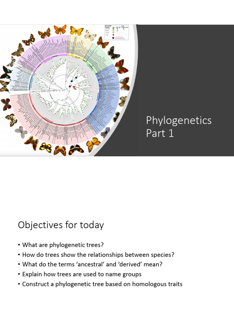 Phylogenetics (gen) (2) | PDF | Homology (Biology) | Phylogenetic Tree