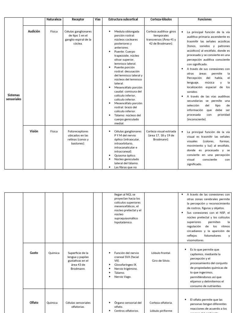 Vías Sensoriales - Matriz | PDF | Sistema somatosensorial | Percepción ...
