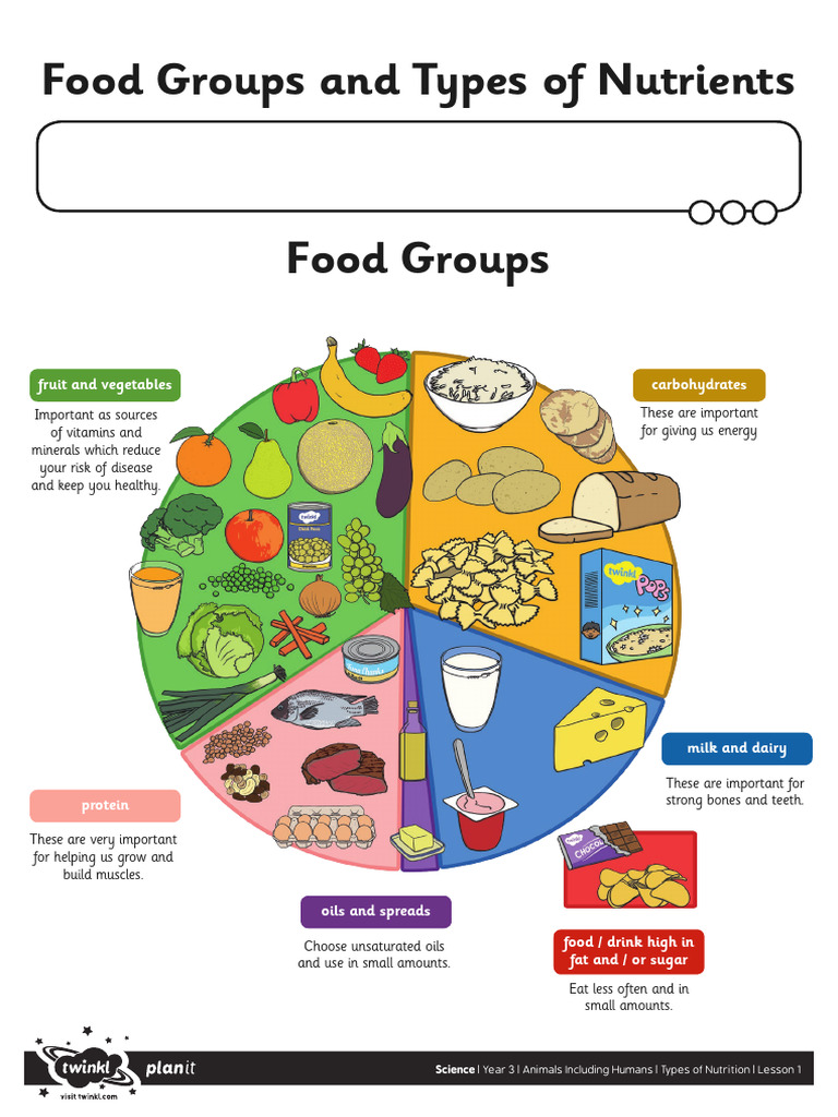 activity-sheet-food-groups-and-types-of-nutrients | PDF