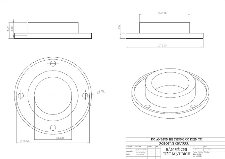 Ban Ve Chit Iet Dien Hinh | PDF