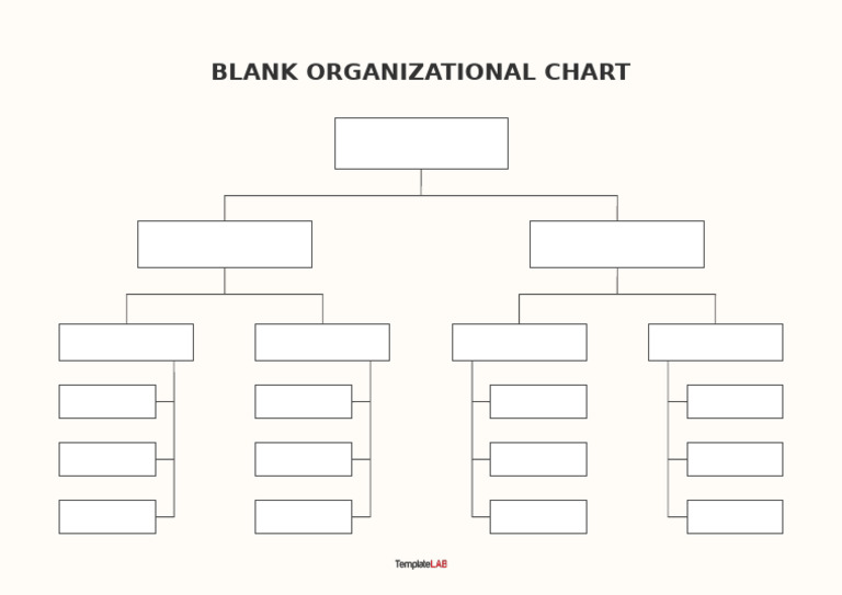 Blank Organizational Chart | PDF