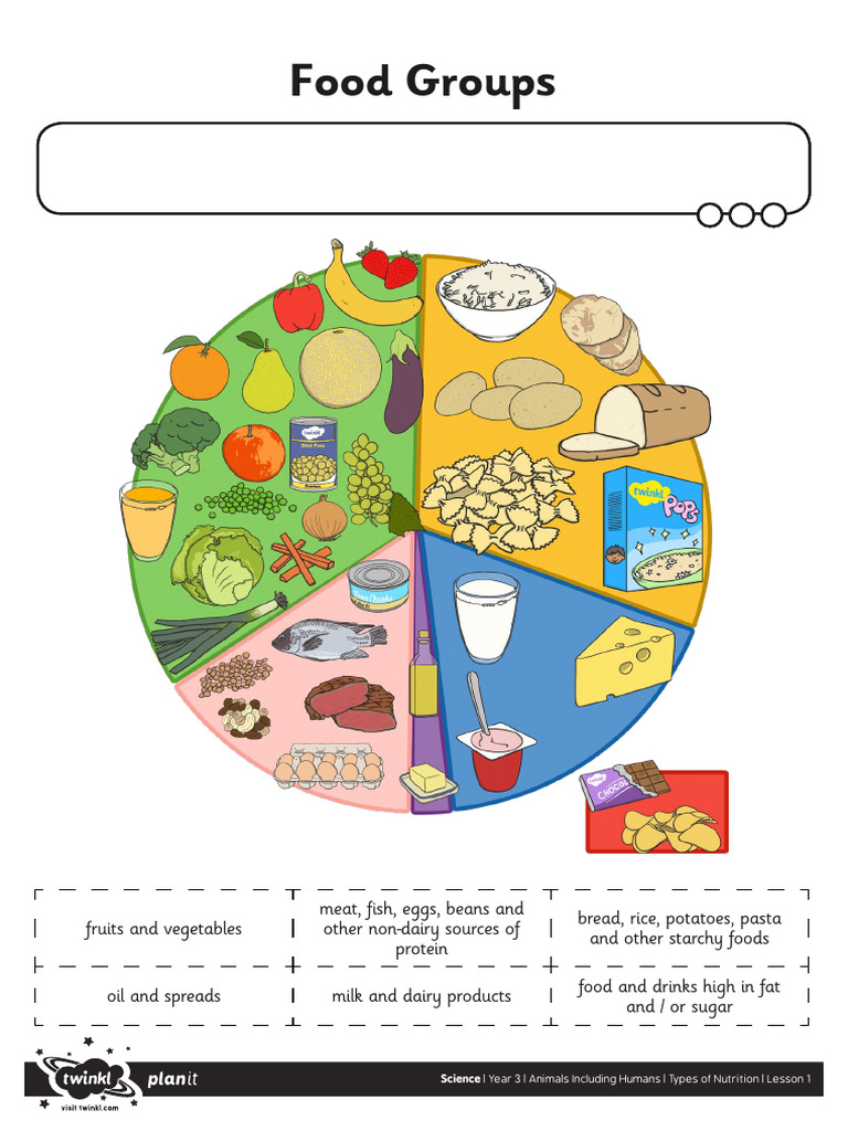Activity Sheet Food Groups | PDF