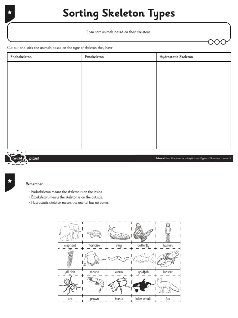 Activity Sheet Sorting Skeletons Black and White | PDF | Skeleton ...